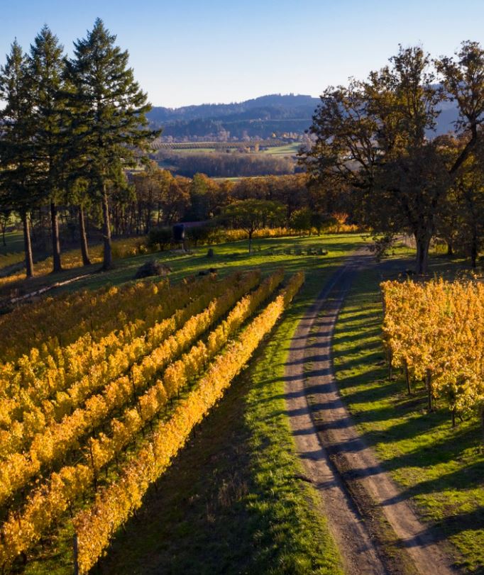Oregon Wine Tours Limo | Party Bus Wine Tours Oregon | JMI Limo